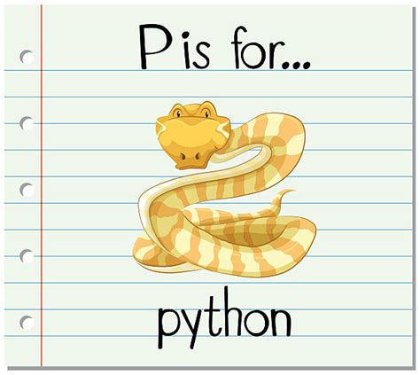 Python Learn Illustrationen Und Vektorgrafiken Istock