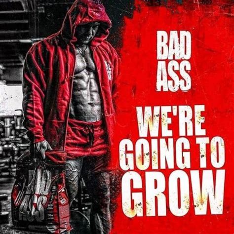 Bad Ass Mass Gainer Price In Bangladesh Bd 7kg