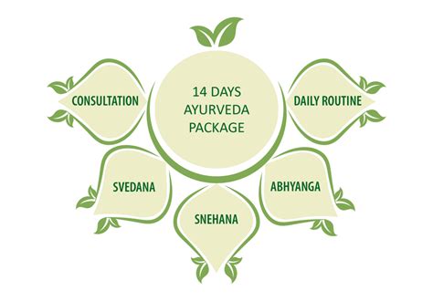 Wellness Packages Ayurveda Health Home