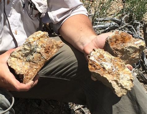 Geology Point Learn Every Point Of Geology