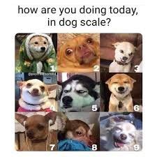 18 Meme Mood Scale Ideas How Are You Feeling Feelings Chart Mood