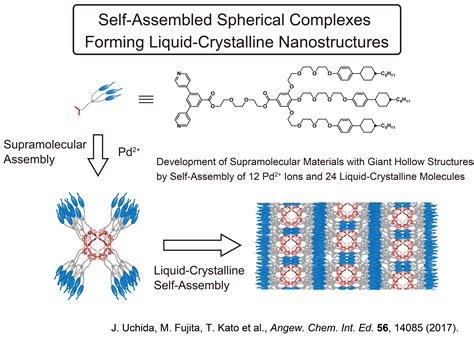 1 Supramolecular Liquid Crystals