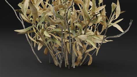 Rhazya Stricta Plant 3d Model By Green Lander