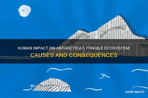 Human Impact On Antarcticas Fragile Ecosystem Causes And Consequences