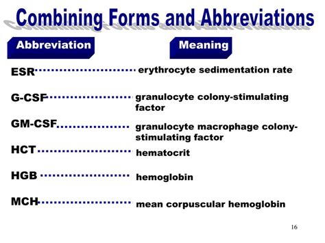 Ppt The Blood System Powerpoint Presentation Free Download Id254586