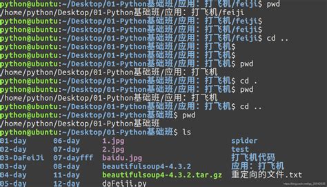 13linux 文件管理（切换工作目录： Cd） 阿里云开发者社区