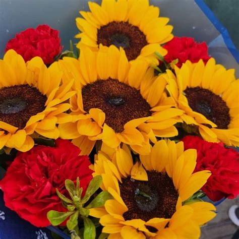 Isa Gomez Isa Gomez On Threads Isa Gomez Isa Gomez On Threads