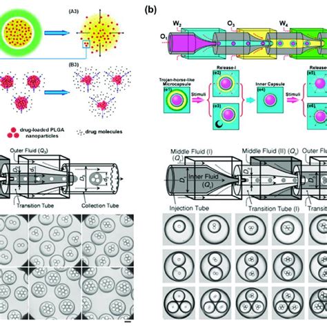 A Schematic Illustration Of Programmed Sequential Drug Release From Download Scientific