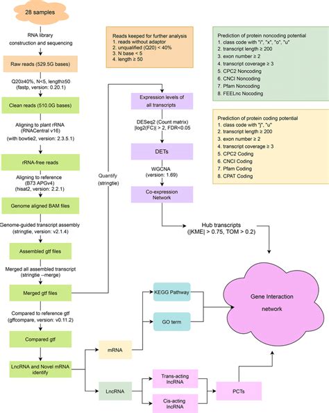 Workflow Of Bioinformatic Analysis In Our Research The Figure Shows