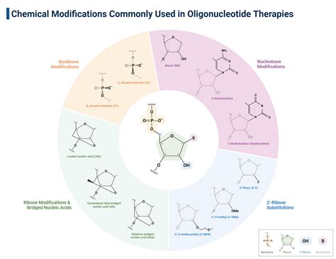 Commonly Used Chemical Modifications In Oligonucleotide Therapies Biorender Science Templates