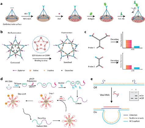 Dna Nanostructure Based Viral Detection A Schematic Illustration Of