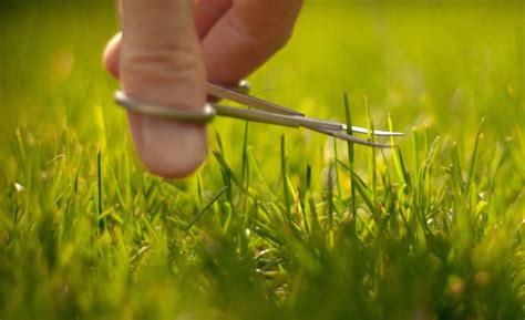 “productive Failure” A Teaching Method Which Leads To Short Term