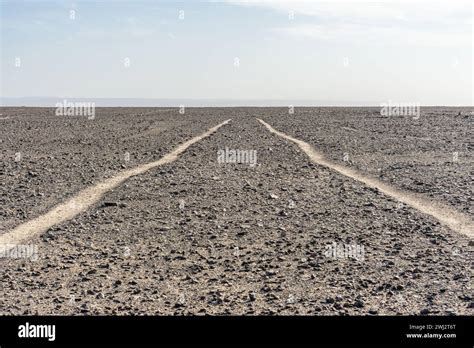 2 Lignes Constituant La Queue De La Figure Dinsecte Des Célèbres Lignes De Nazca Ce Chiffre