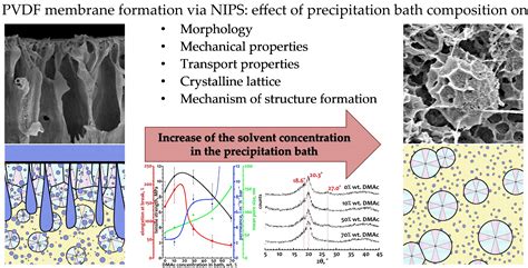 Pvdf Membrane Vs Nylon At Ann Burkett Blog