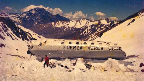 Viven No Contaba Toda La Historia” Secretos De La Tragedia De Los