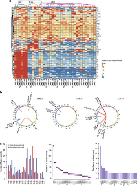 Transcriptomic Characterization Of Adult Lms A Unsupervised