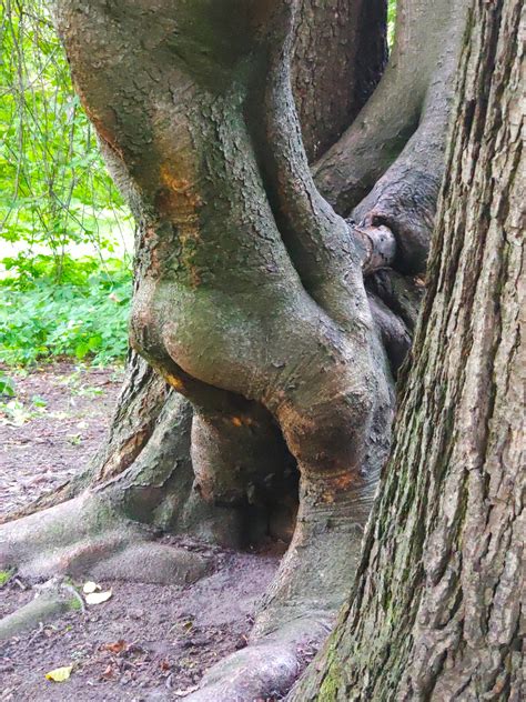 Public Display Oh My Natureissexy