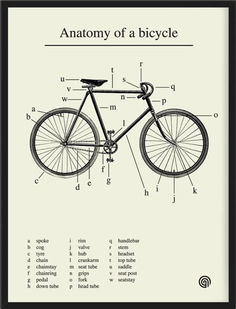 Exploring The Intricate Anatomy Of A Bicycle Vintage Bicycle Design Diagram Bicycle Schematic