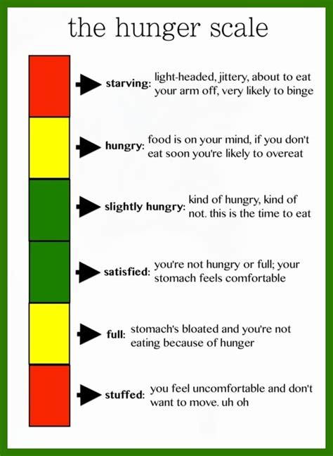 The Hunger Scale