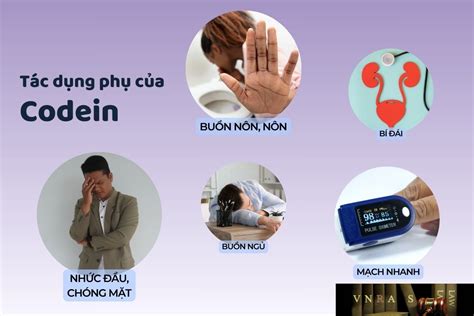 Thông Tin Thuốc Codein Thuốc Giảm đau Nhóm Opioid
