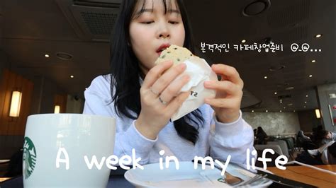 Vlog 자영업자 브이로그 1 험난한 창업준비 시자아악🔥 원두 찾으러 요리조리 위생교육 듣기 로고제작 빵 수업 인테리어 수육 파김치 짜장면