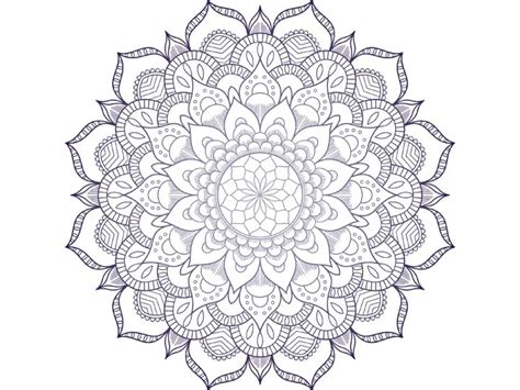 Amma Connect