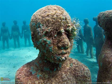 Sunken Treasures Imgur