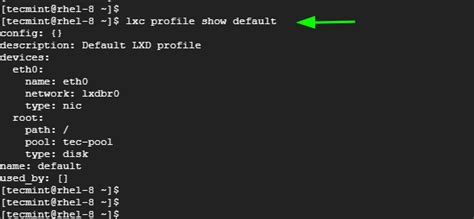 Install LXC Linux Containers In RHEL Rocky AlmaLinux