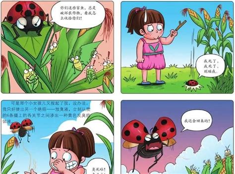 世界上最大的七星瓢虫是什么 闪电鸟