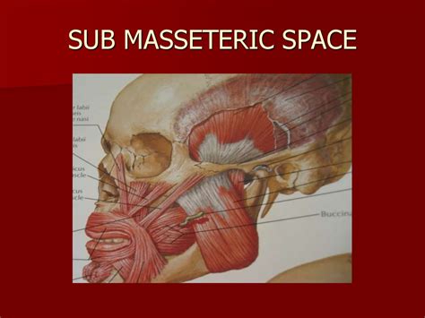 Surgical Fascial Spaces Online Presentation