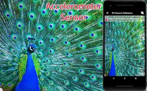 3d Peacock Live Wallpapers For Android Download