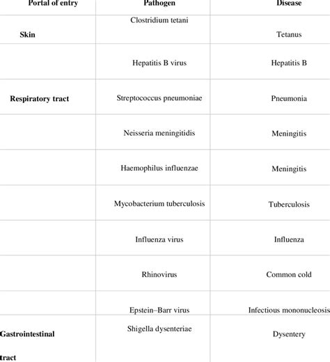 Depicting The Entry Points Of Some Common Pathogens Download Scientific Diagram