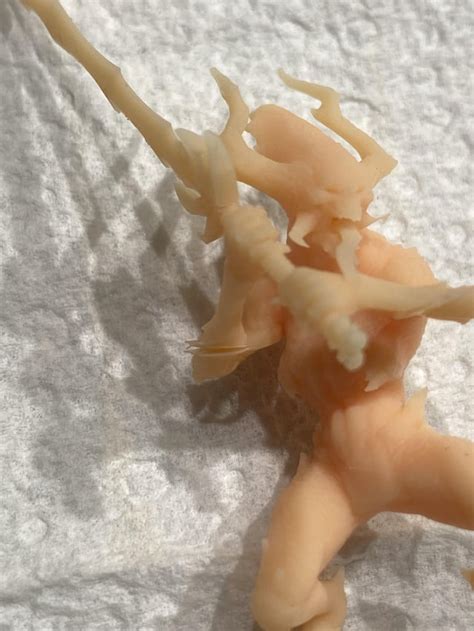 Anyone Know Why Im Getting These Print Errors Rprintedminis