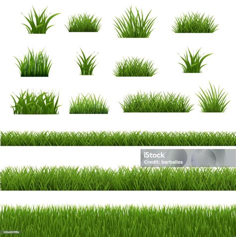 Vetores De Grass Frame With White Background E Mais Imagens De Beleza
