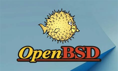 What Is OpenBSD Everything You Need To Know The Tech Edvocate