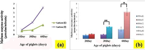Activity Of Maltase Enzyme A Alteration In Maltase Enzyme Activity Of