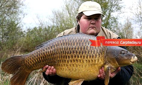 Как сделать насадку Pop Up из пробковых шариков