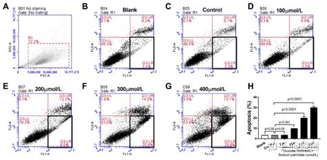 油酸成脂试剂盒、油酸高脂试剂盒、高糖高脂、棕榈酸钠油酸钠、脂肪肝细胞诱导剂、脂肪酸细胞培养 试剂盒 知乎
