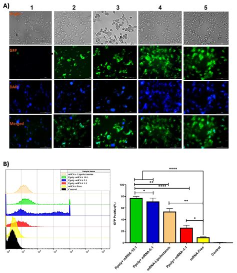 Intratumoural Delivery Of Mrna Loaded On A Cationic Hyper Branched