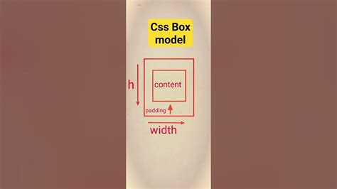 Css Box Model Box Model Css Box Model Kya Hai Shorts
