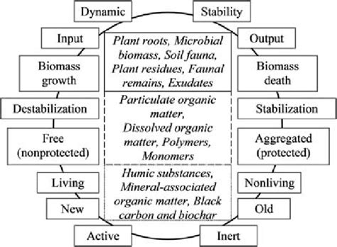 2 Schematic Presentation Of The Continuum In The Soil Organic Components Download Scientific