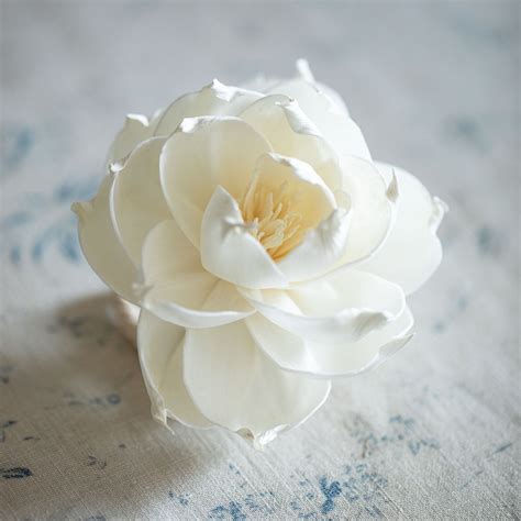 Cosmos Diffuser Flower Vintage And Bespoke Ltd