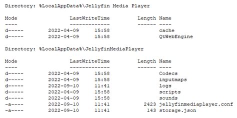 Windows Duplicated Folder In Localappdata · Issue 304 · Jellyfin