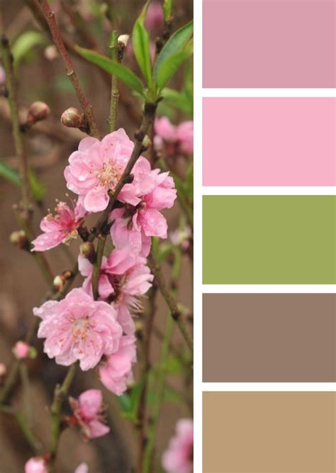 Сочетание цветов розовый и зеленый