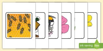 Bee Bot Resources KS Computing Twinkl Twinkl