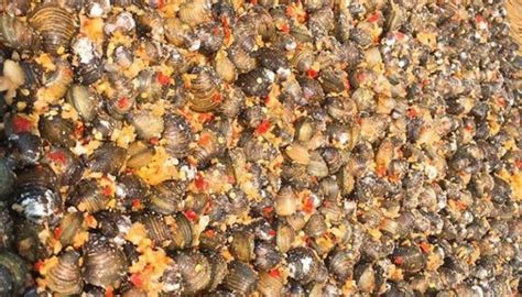 វិធីធ្វើលៀសហាល ២ រសជាតិ នឹង ទឹកអំពិលទុំ ព័ត៌មាន រាមកេរ្តិ៍