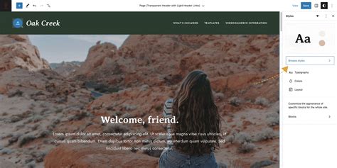 Setting Global Styles Colors Typography And More Dinosaur Stew Theme Docs