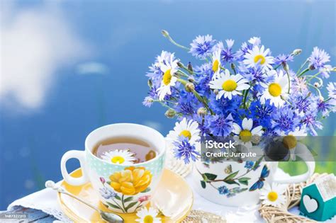 구름이 있는 푸른 하늘을 배경으로 야외에서 꽃으로 장식된 찻잔에 담긴 허브차 꿀이 든 건강한 허브 음료 0명에 대한 스톡 사진 및 기타 이미지 Istock