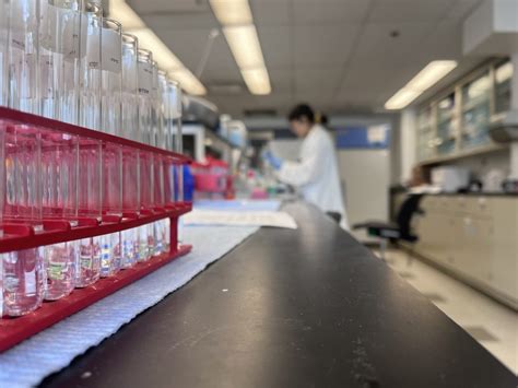 CRO Bioanalysis Laboratory Method Development Transfer Biotrial