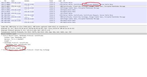 Cryptotls Client Certificate Not Sent · Issue 23924 · Golanggo · Github